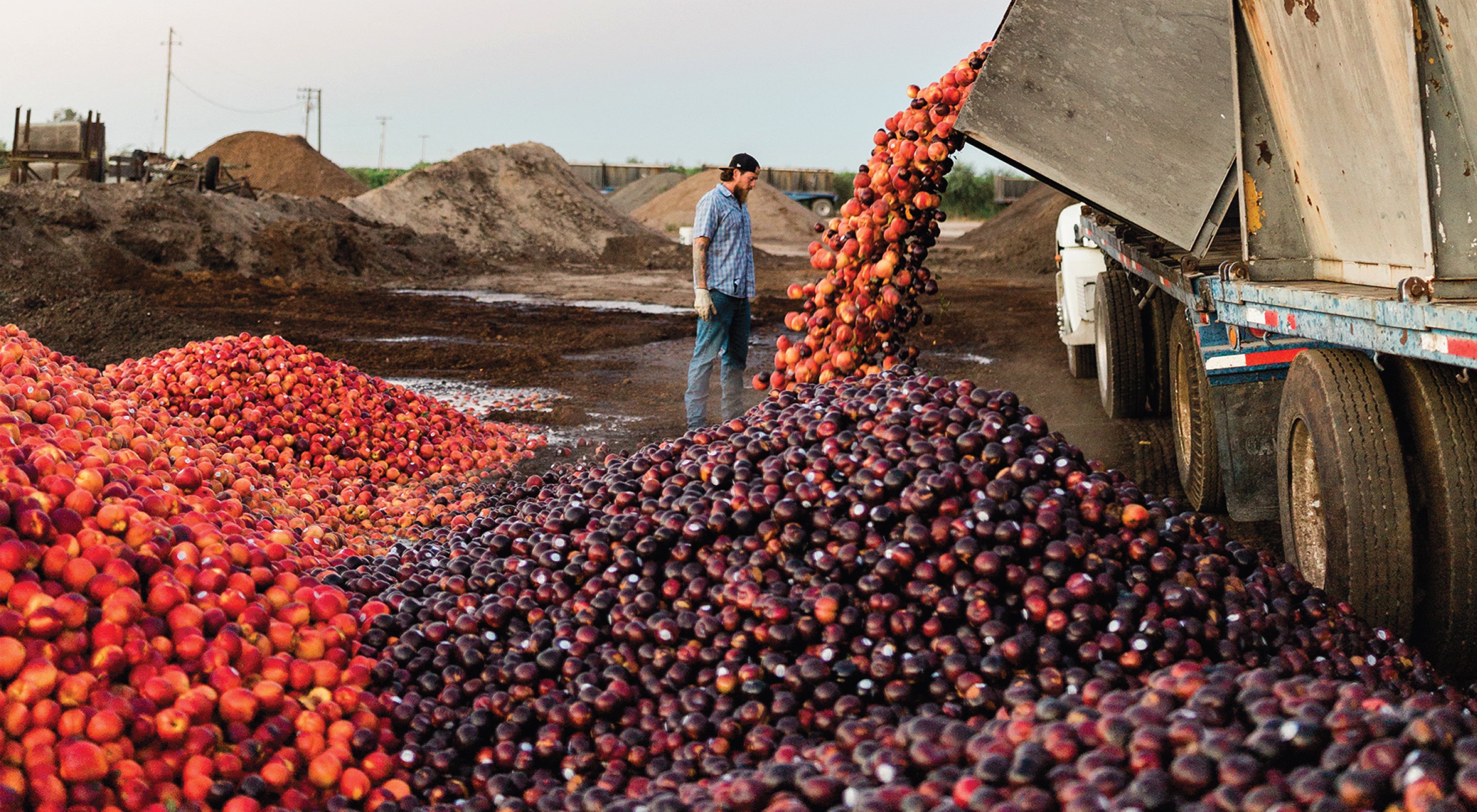 Upcycled Food Products And Their Benefits | Sunrise Fresh Dried Fruit